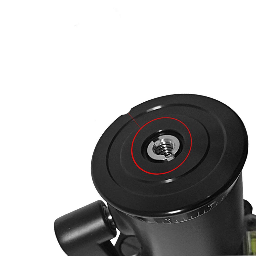 3/8'' To 1/4'' Tripod Ballhead Reducer Bushing Convert Screw Adapter,1/ ...