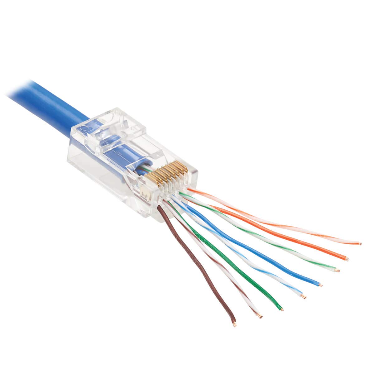 Ca6 Utp Modular Plug 100 Pack – Electroeshop