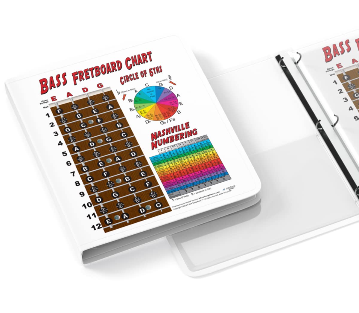 Laminated 4 String Bass Fretboard Notes Chart Nashville Number System ...