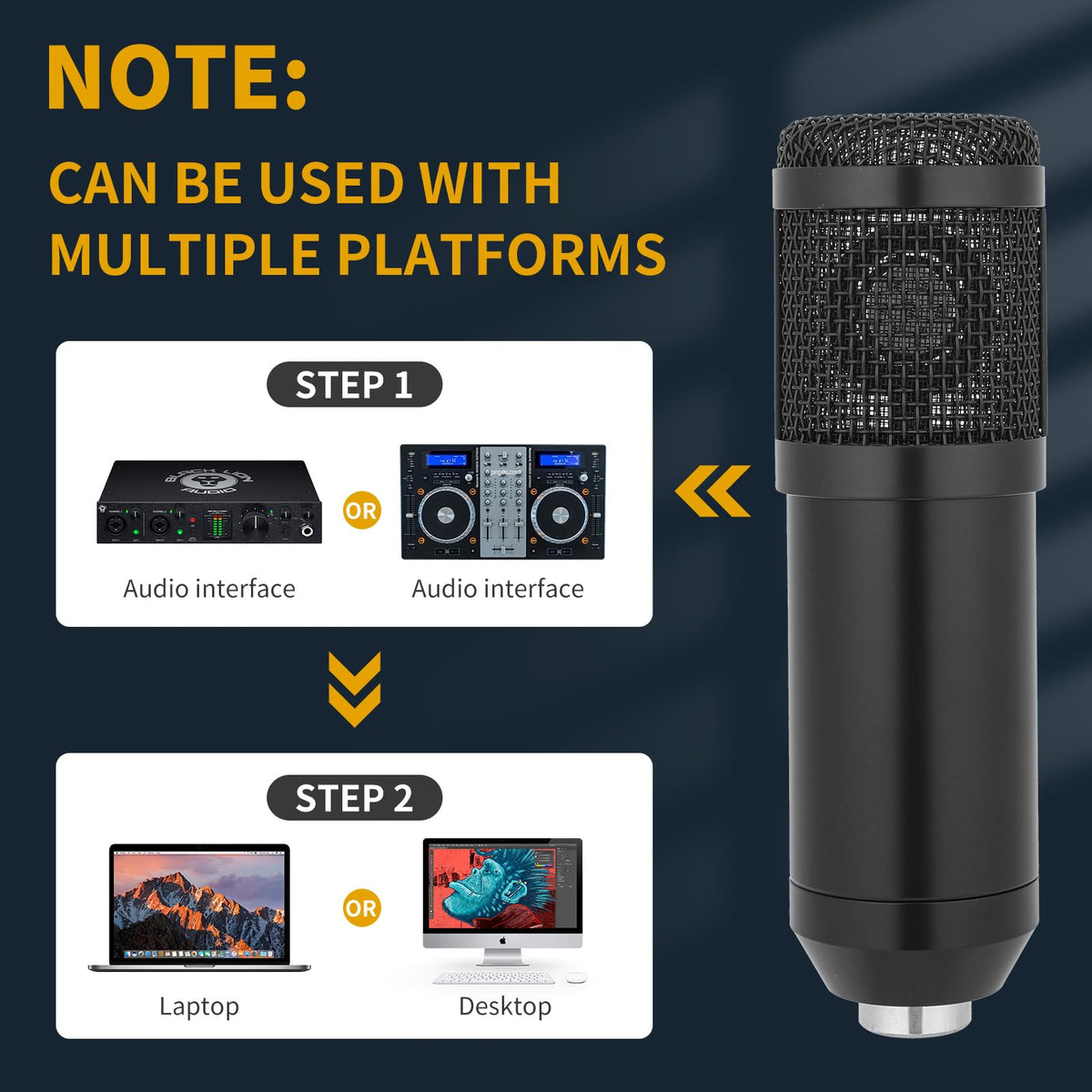 AMOOX Condenser USB Microphone BM-800 Plug & Play Cardioid with Boom A ...
