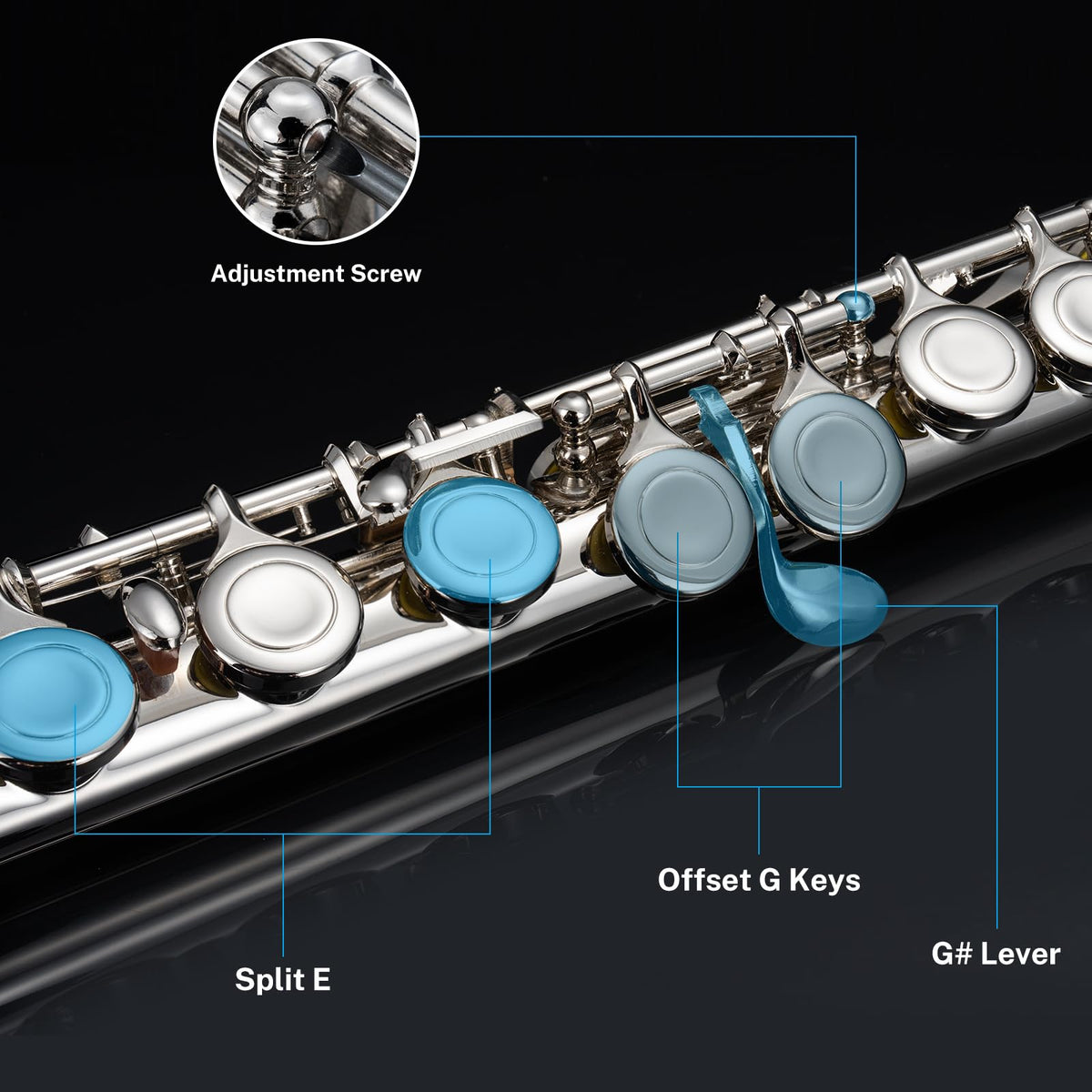 Pogolab Flutes, Closed Hole C 16 Keys Flute Instrument, Student Flute ...