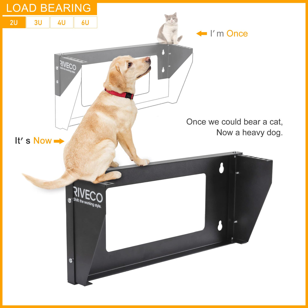 Riveco 2U Wall Mount Rack For Network| Reinforced Heavy Load 66 99 Lbs ...
