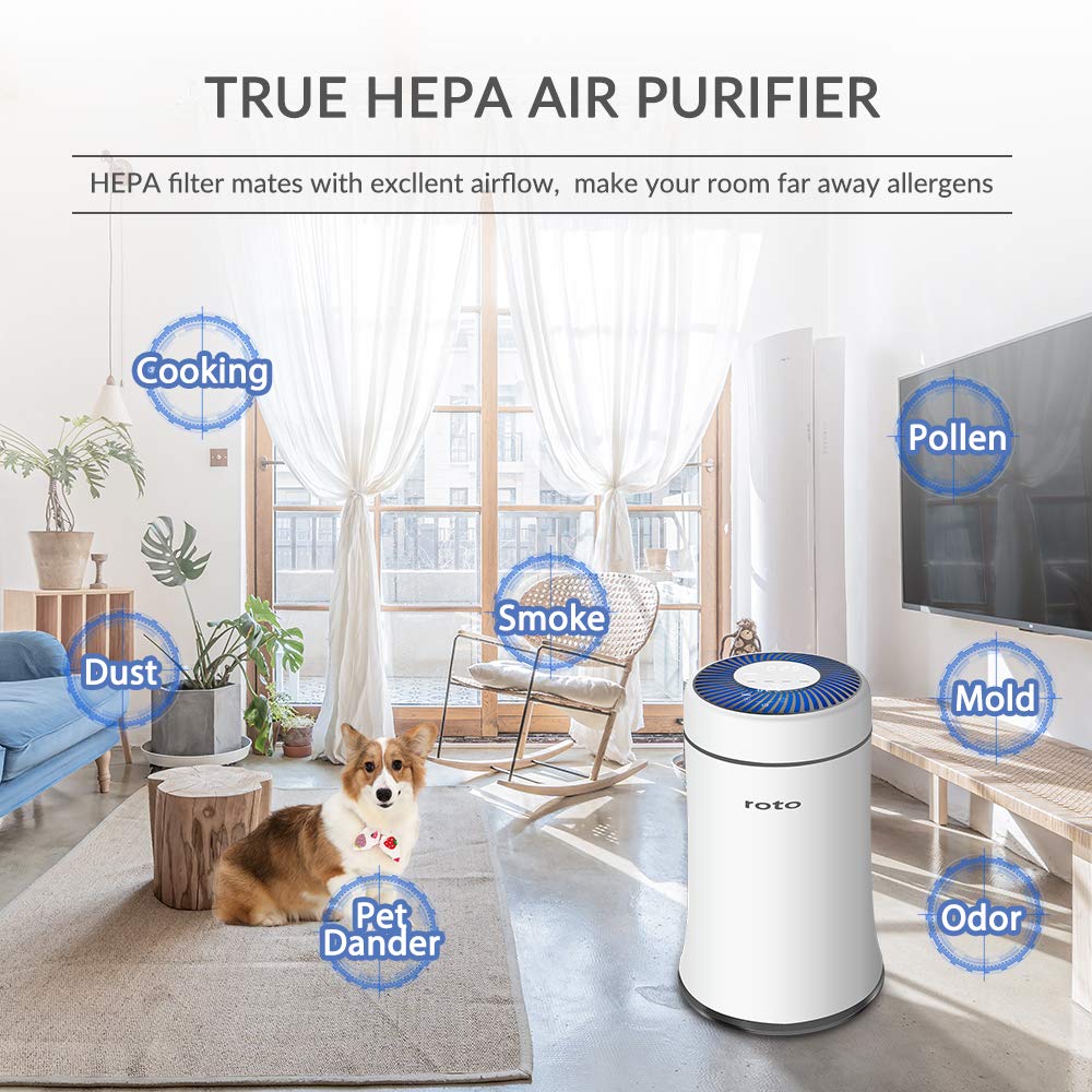 Roto Hepa Filter, H13 Upgraded True Hepa 3 Stages Filtration Filter ...