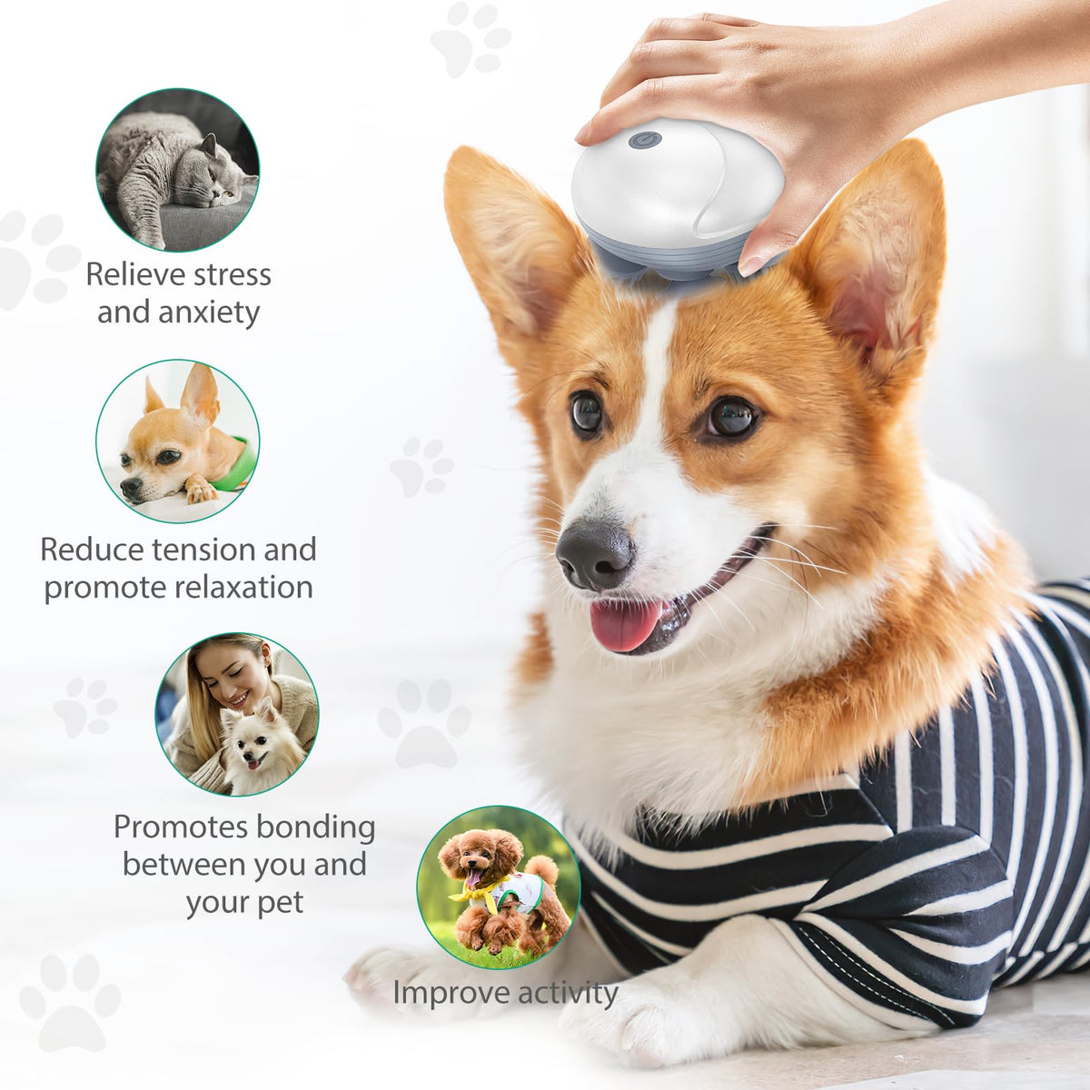 ORIA Upgraded Handheld Pet Massage for Dog and Cat, Electric Cat ...