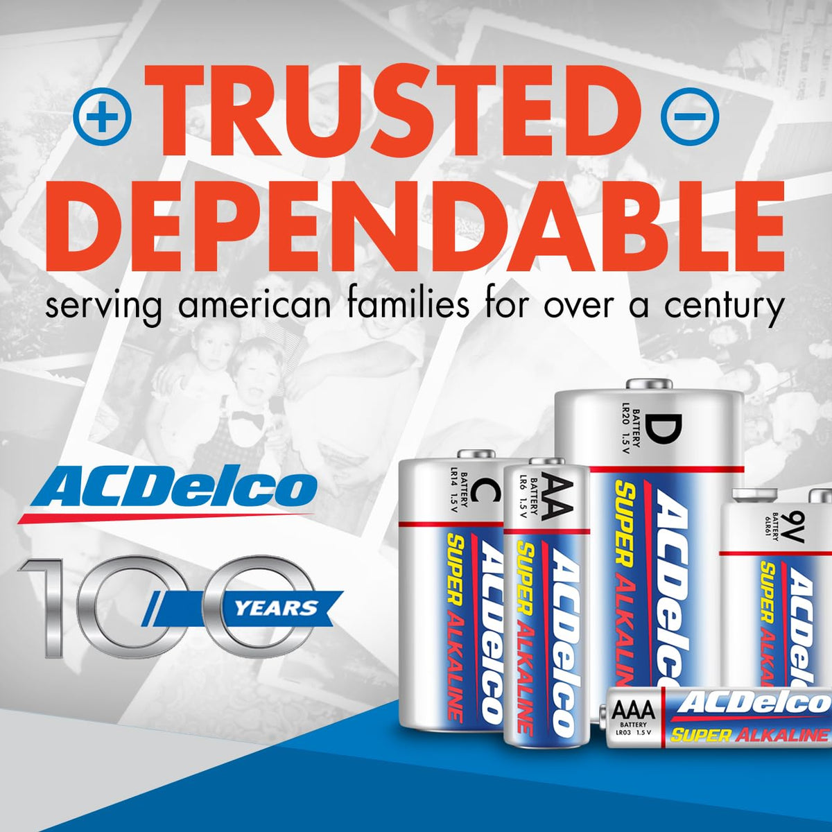 Acdelco 48 Count Double Aa Batteries, Maximum Power Super Alkaline ...