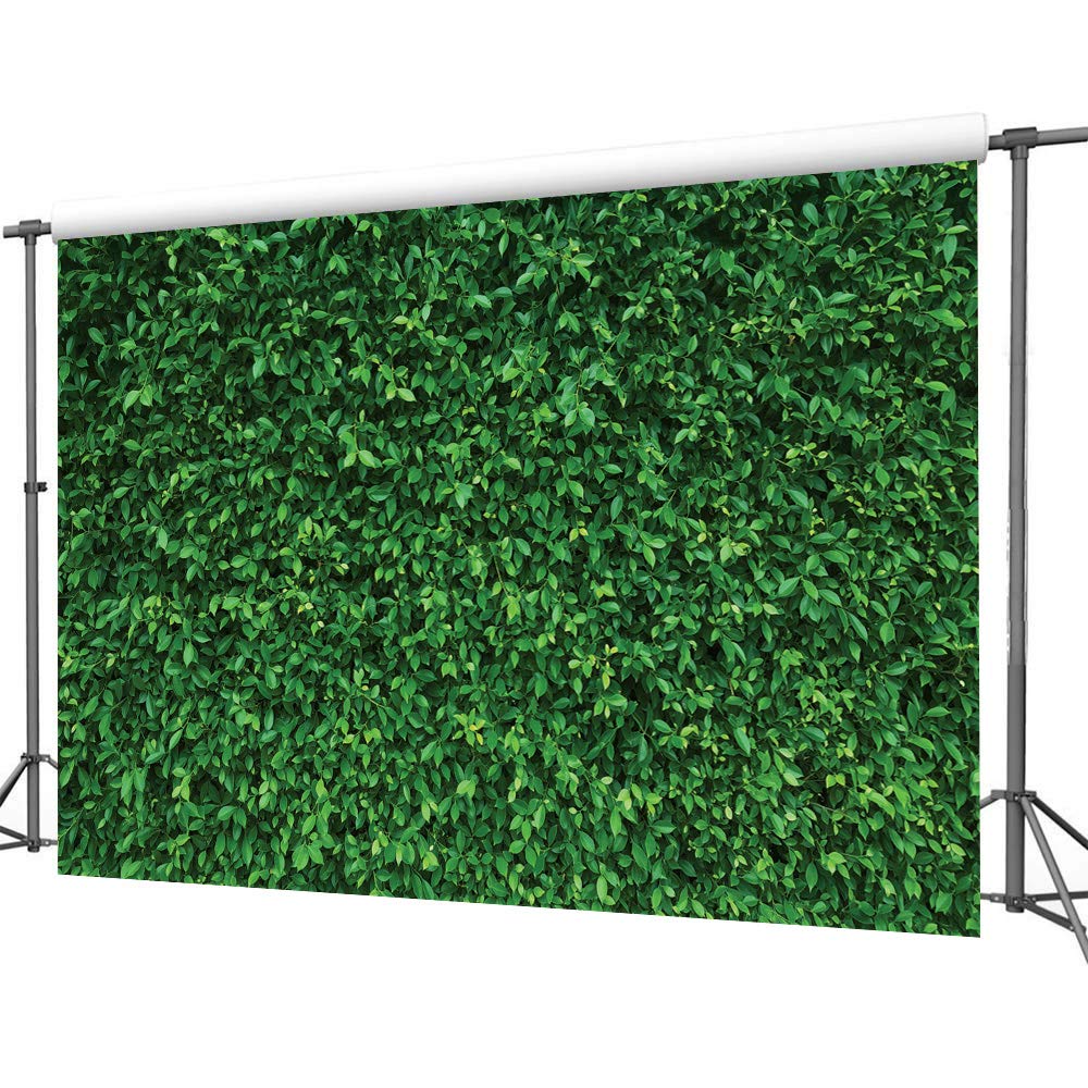 Lywygg 8X6Ft Green Leaves Photography Backdrops Mmicrofiber Nature Bac ...