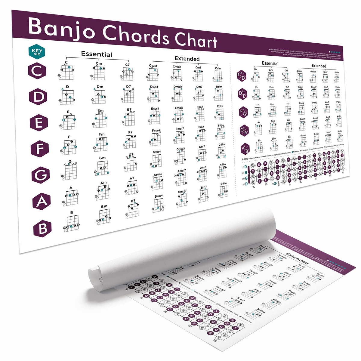 Banjo Chords Chart Poster 18x36 Inch - Essential & Extended Banjo Chor ...