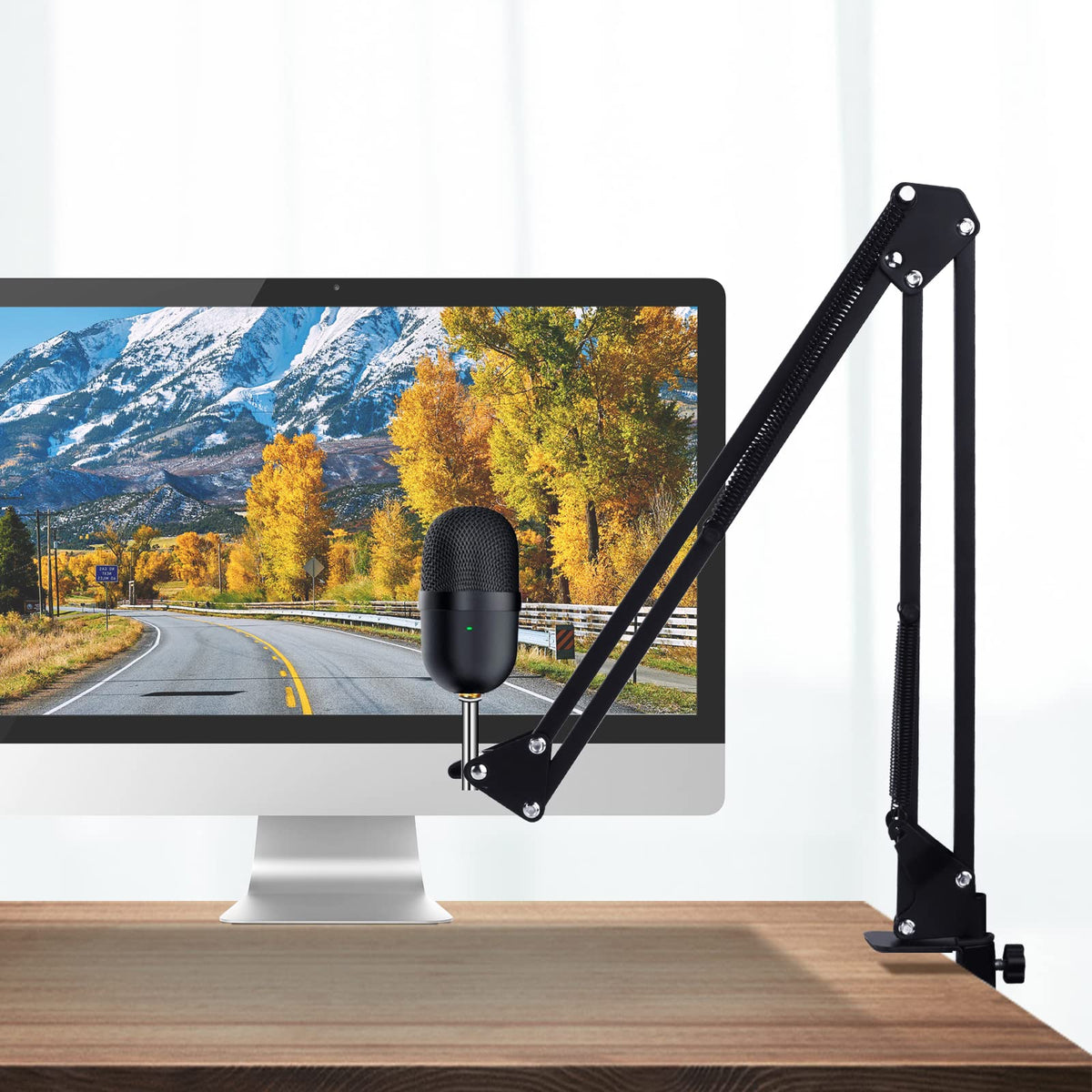 For Razer Seiren Mini Mic Boom Arm, Mic Desk Stand Compatible With Raz ...