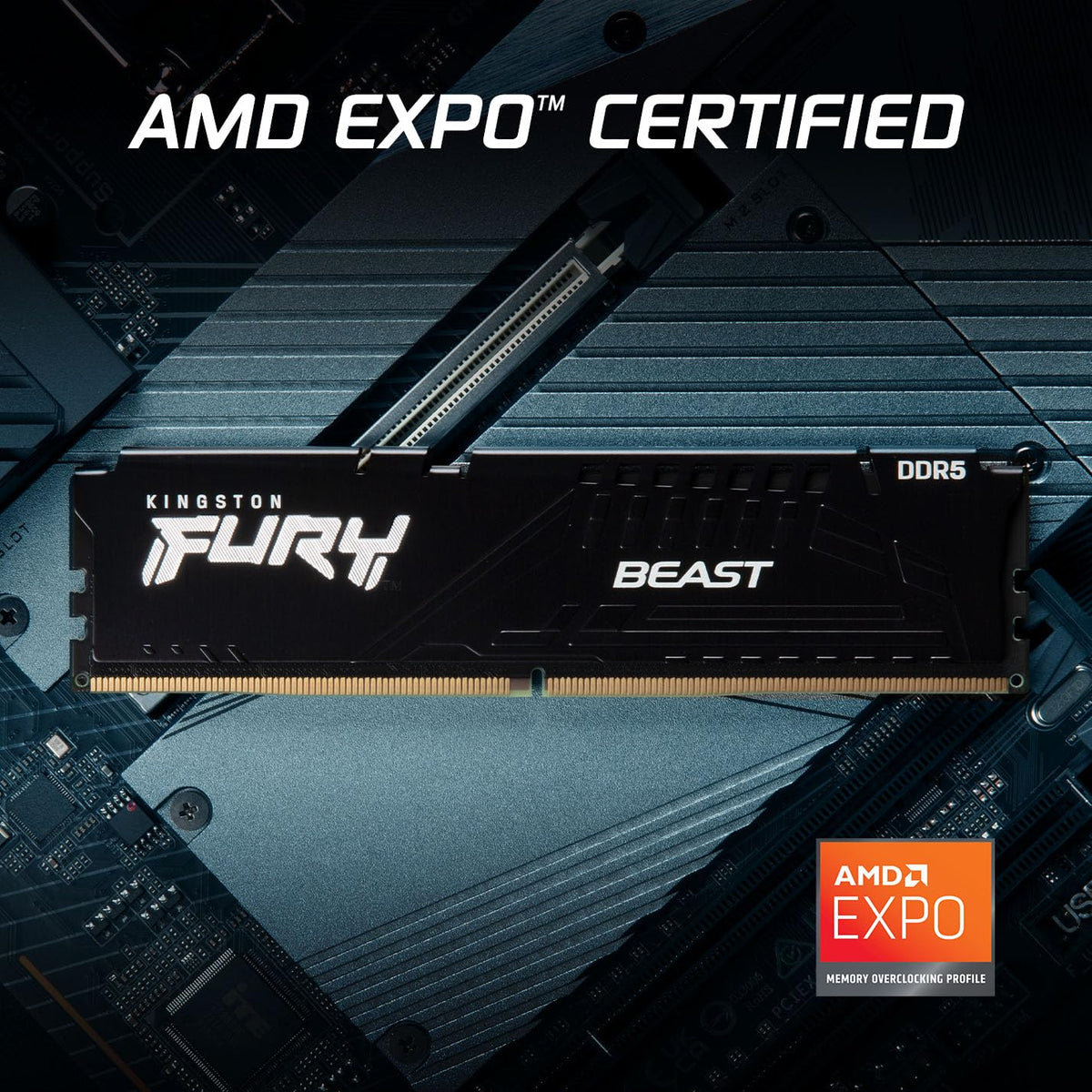 Kingston Fury Beast 16GB 6800MT/s DDR5 CL34 Desktop Memory | AMD Expo ...