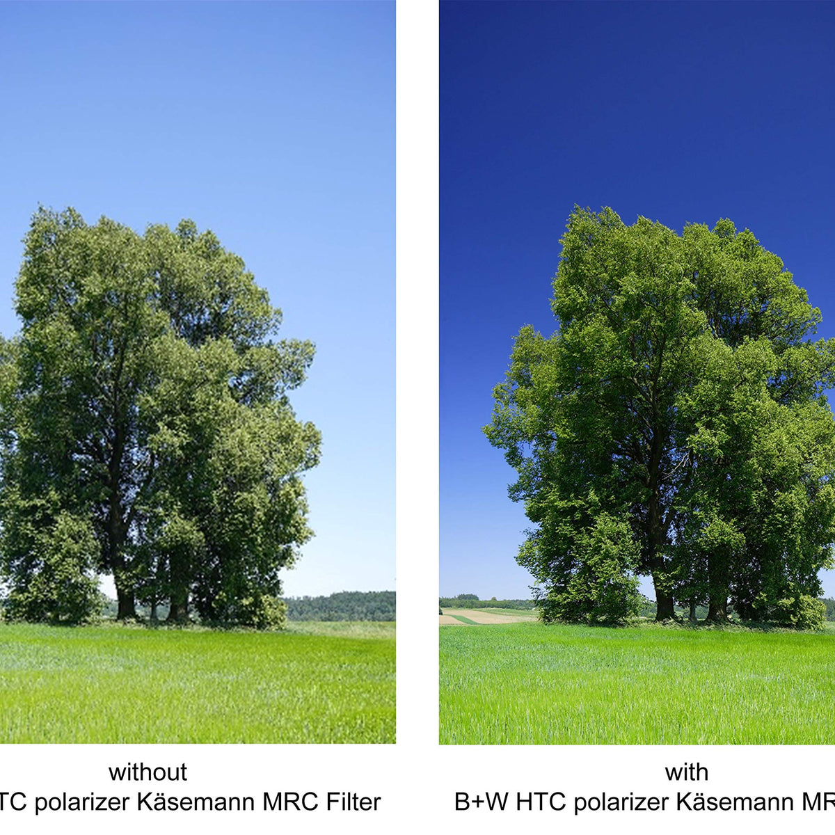 B + W Circular Polarizer Kaesemann Standard Mount (F Pro), Htc, 16 Lay ...